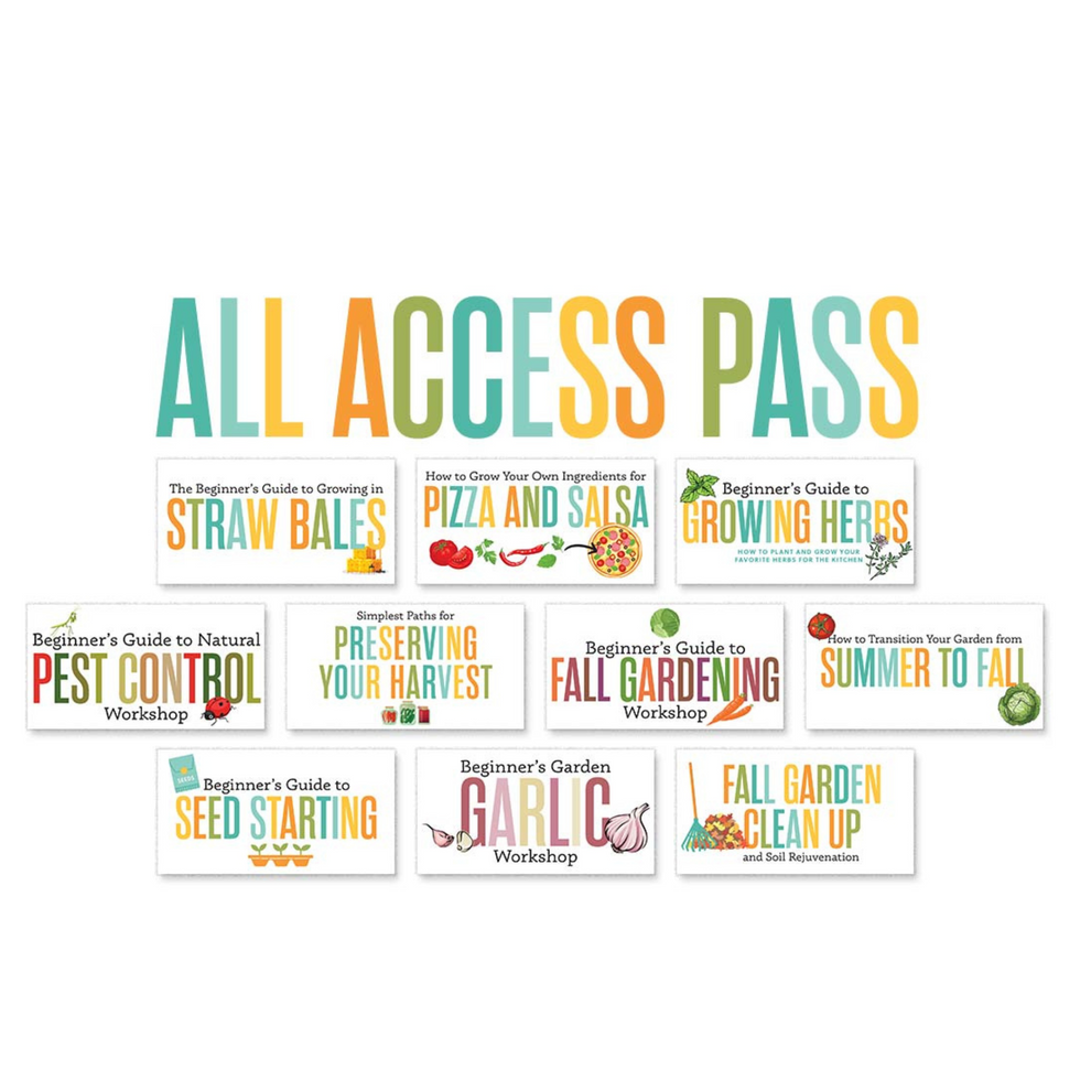 Workshop All Access Pass – thebeginnersgarden